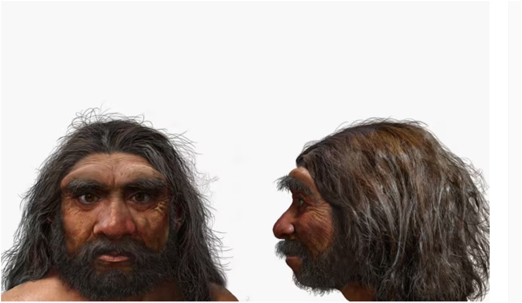 Human Ancestor | Discovery of a New Human Ancestor